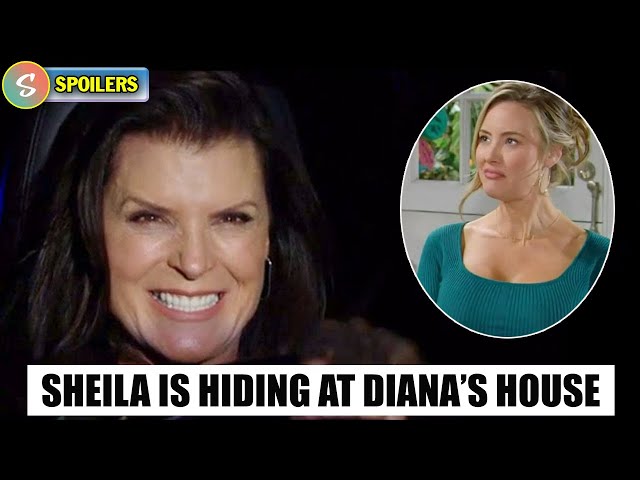 Sheila Still's Instagram, Twitter & Facebook on IDCrawl