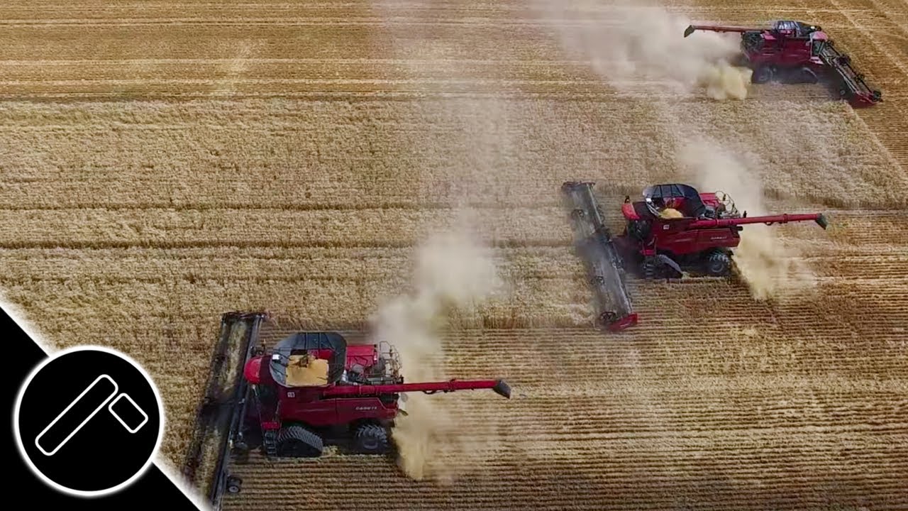 2018 Harvest Featuring Multiple Case IH Combines - YouTube