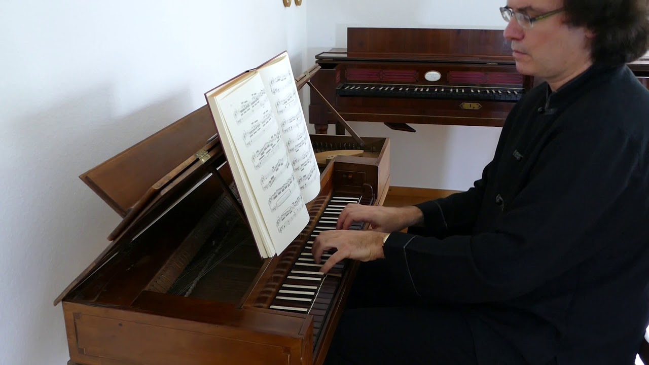 Michael Tsalka plays Mozart on the Maucher Pantalon restored by Pooya ...