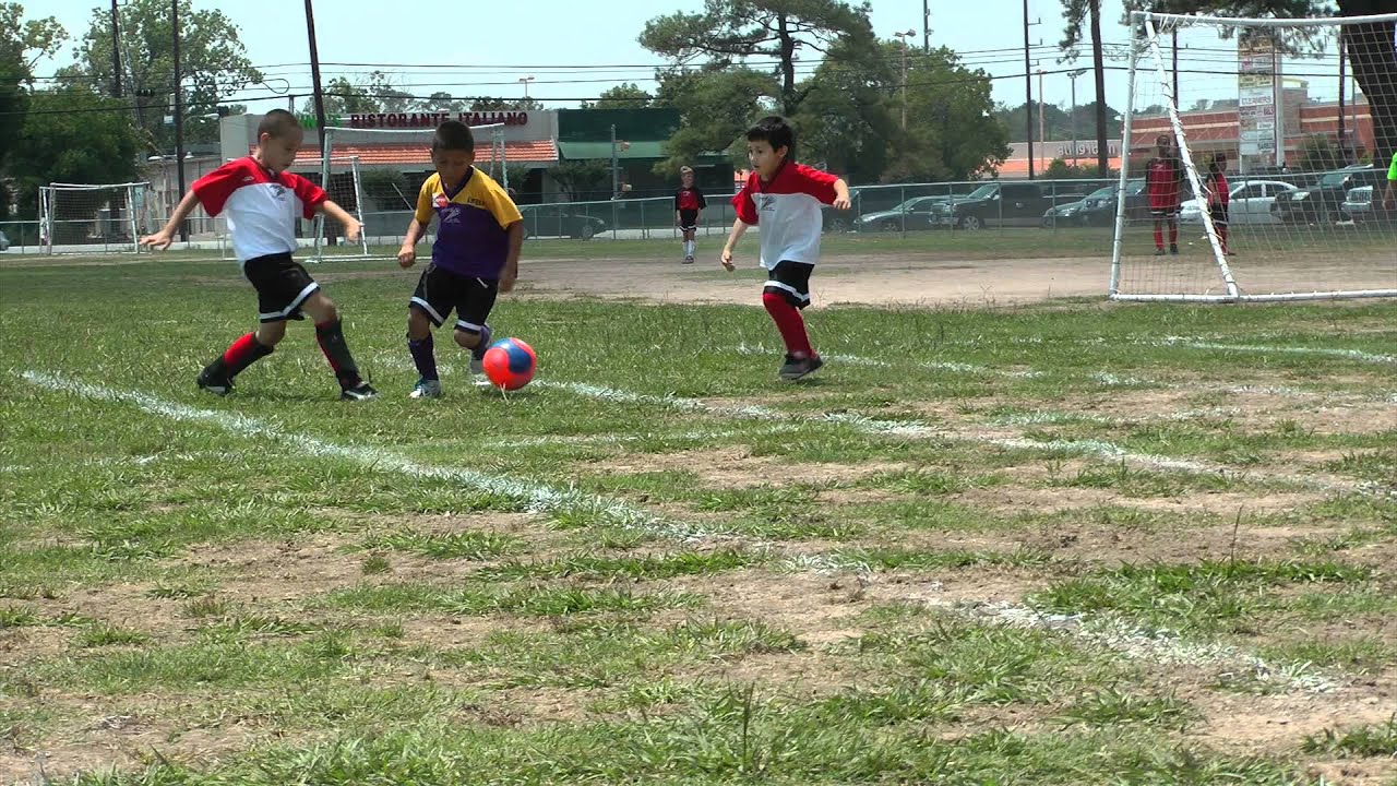 Tiger Sharks 2012 FFPS Spring Soccer Video - YouTube