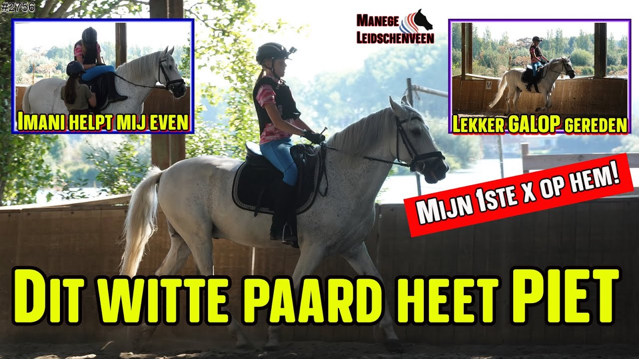 Mijn EERSTE KEER op DIT MOOIE GROOTTE PAARD van de MANEGE. Zal het GOED ...