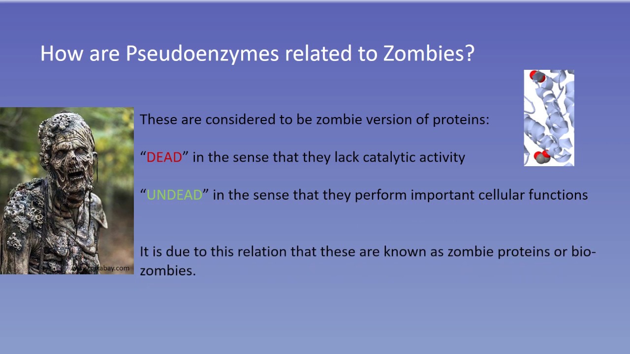 Zombies in Biology - YouTube