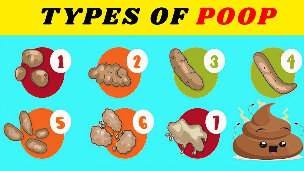 What Your Stool Reveals About Your Health: 12 Key Signs To Watch For ...