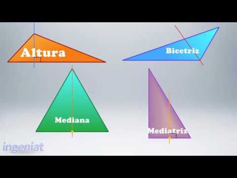 Conalep REAN R15 L01 Características de triángulos - YouTube