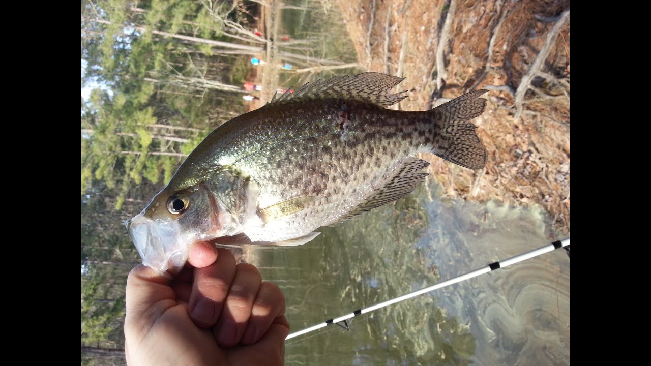 Jordan Lake Camping and Fishing - YouTube