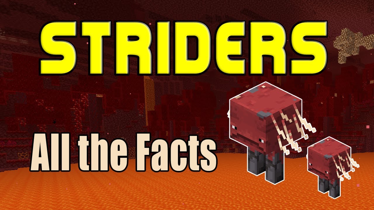Minecraft Striders Mob (All the Facts) | Minecraft Tutorial - YouTube