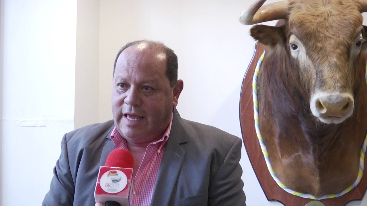 LNFT Proteje Sain Alto su tradición como tierra del toro bravo ...