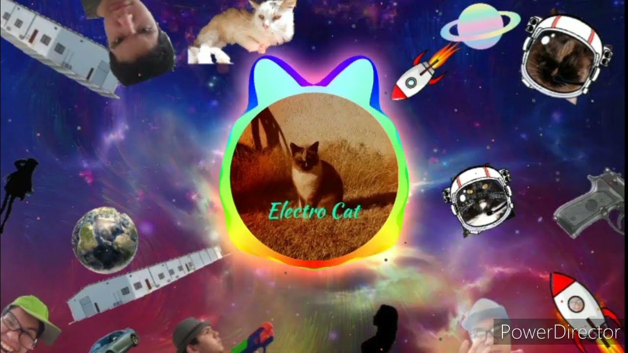 Electro Cat - BACK TO Ü 🚀 - YouTube