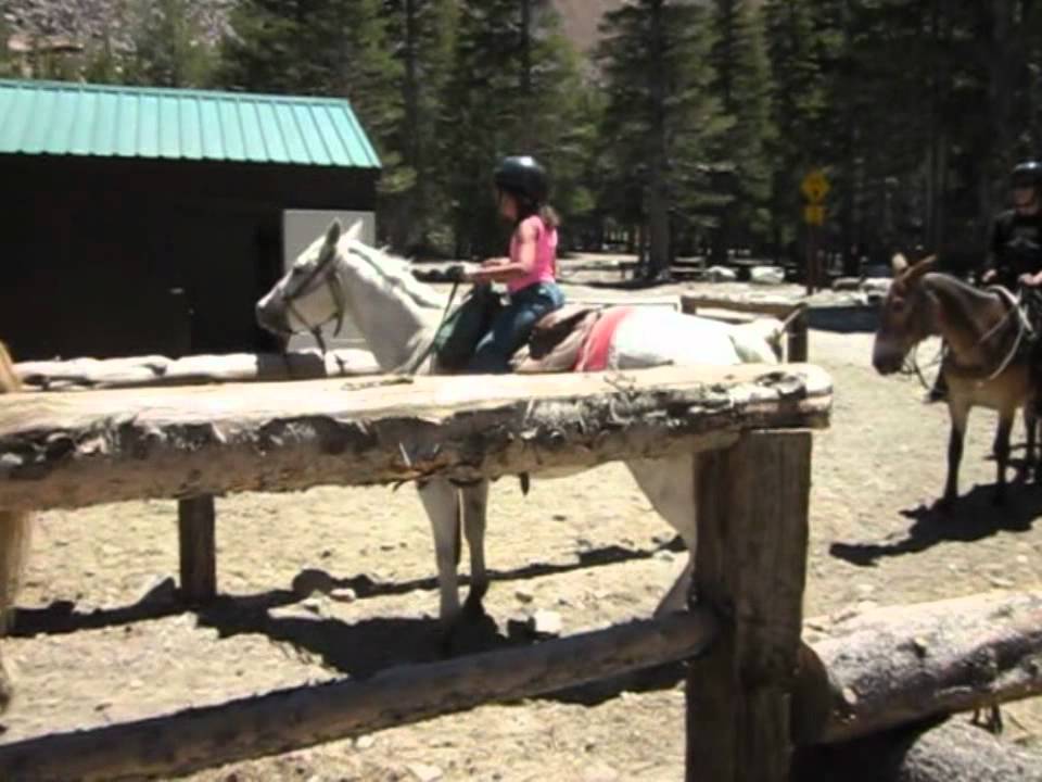 Mammoth Lakes Horseback Ride - YouTube