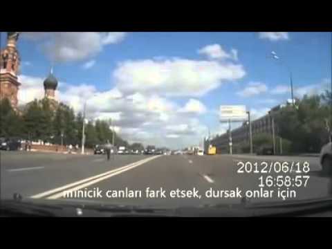 İzlerken gözleriniz dolacaq.