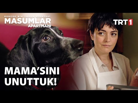 Kurşun'un yemek vakti! - Masumlar Apartmanı 70.Bölüm