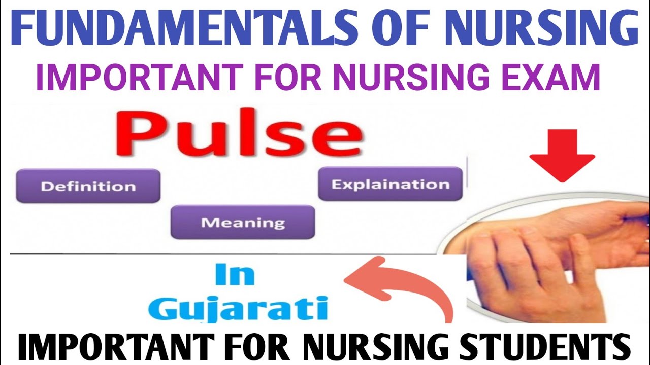 Pulse || Vital Signs || Fundamental Of Nursing - YouTube