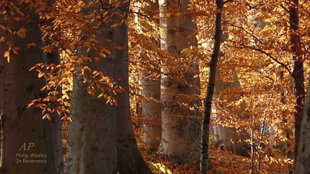 Relaxation Piano Music - PHILIP WESLEY - In Reverence - Hope Endures ...