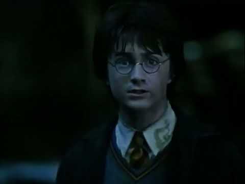 Disney Channel Harry Potter and the Chamber of Secrets Promo (October 16, 2008)