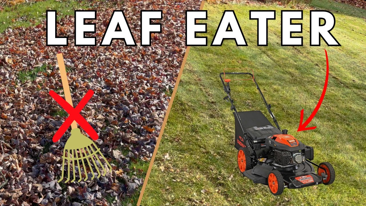 Ditch the Rake: Using the Yardmax Push Mower to Take Care of Leaves ...