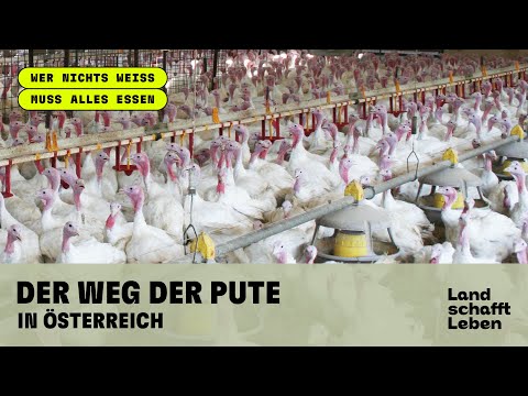 Der Weg der PUTE in Österreich - Teaser