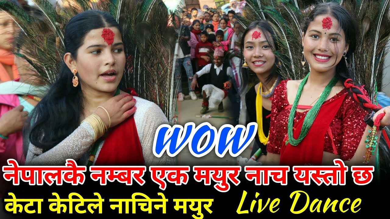 Beautiful Mayur Nach निकै उत्कृष्ट मयुर नाच नेपालकै नम्बर एक मयुर नाच ...