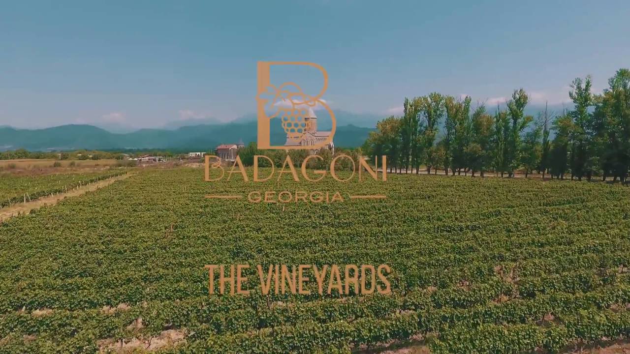 Vineyards of the best Georgian wine company BADAGONI - YouTube