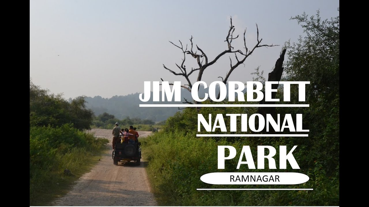 Jim Corbett National Park Ramnagar I Jungle safari I History & Complete ...