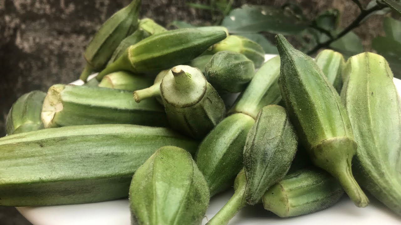 How do you know what Okro has for you - YouTube