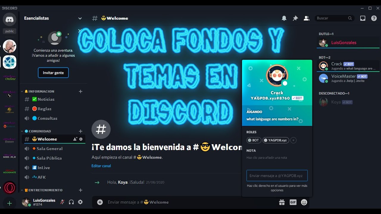 COMO COLOCAR FONDOS Y TEMAS PERSONALIZADOS EN DISCORD - YouTube