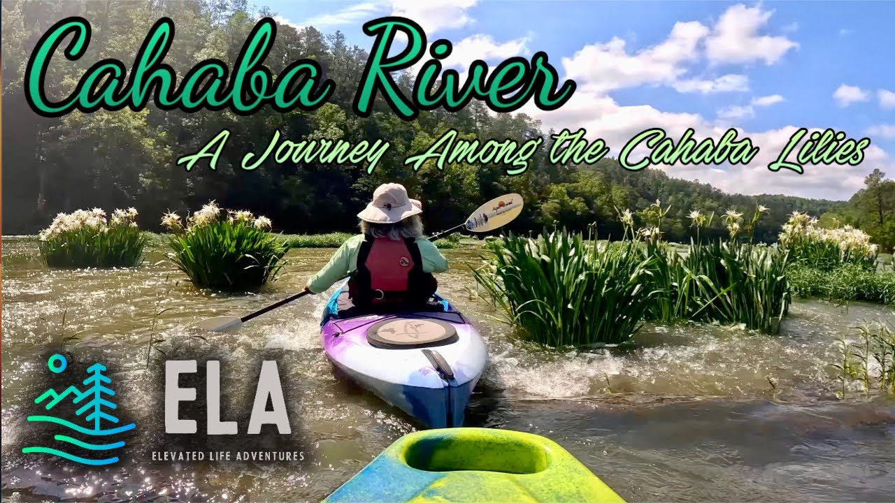 Kayaking the Cahaba River - A Journey Among the Lilies - YouTube