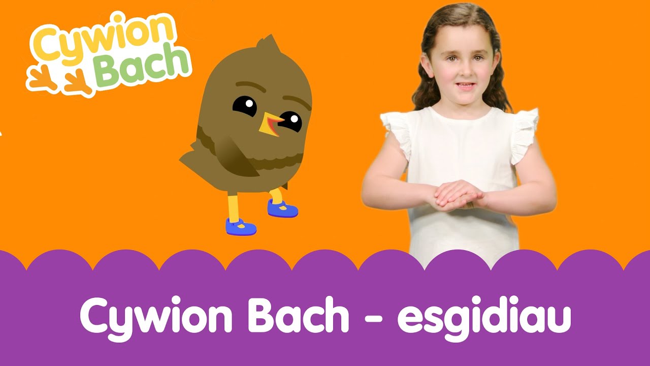 Cywion Bach - Esgidiau 👟 | Welsh Toddler - Learn First Welsh Words ...