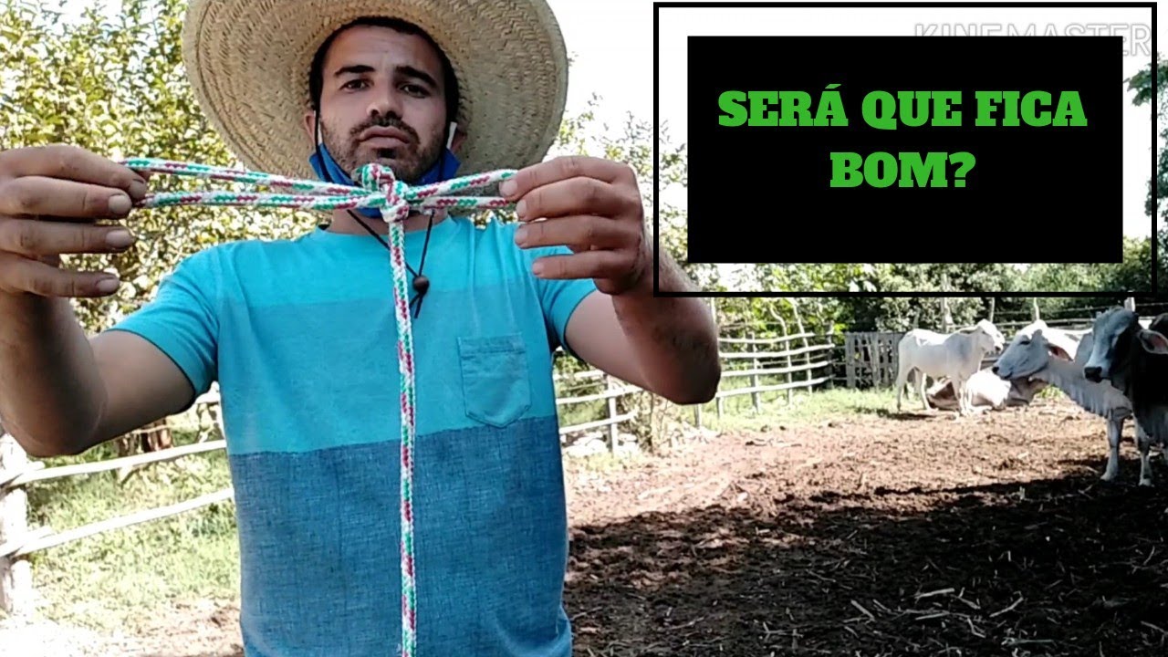 Ensinando a fazer cabresto para bovino! - YouTube