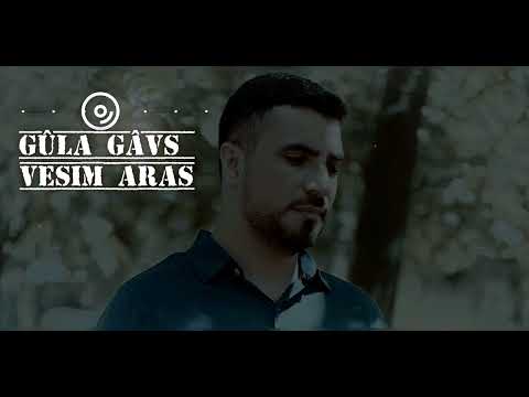 Gûla Gâvs - Vesim ARAS