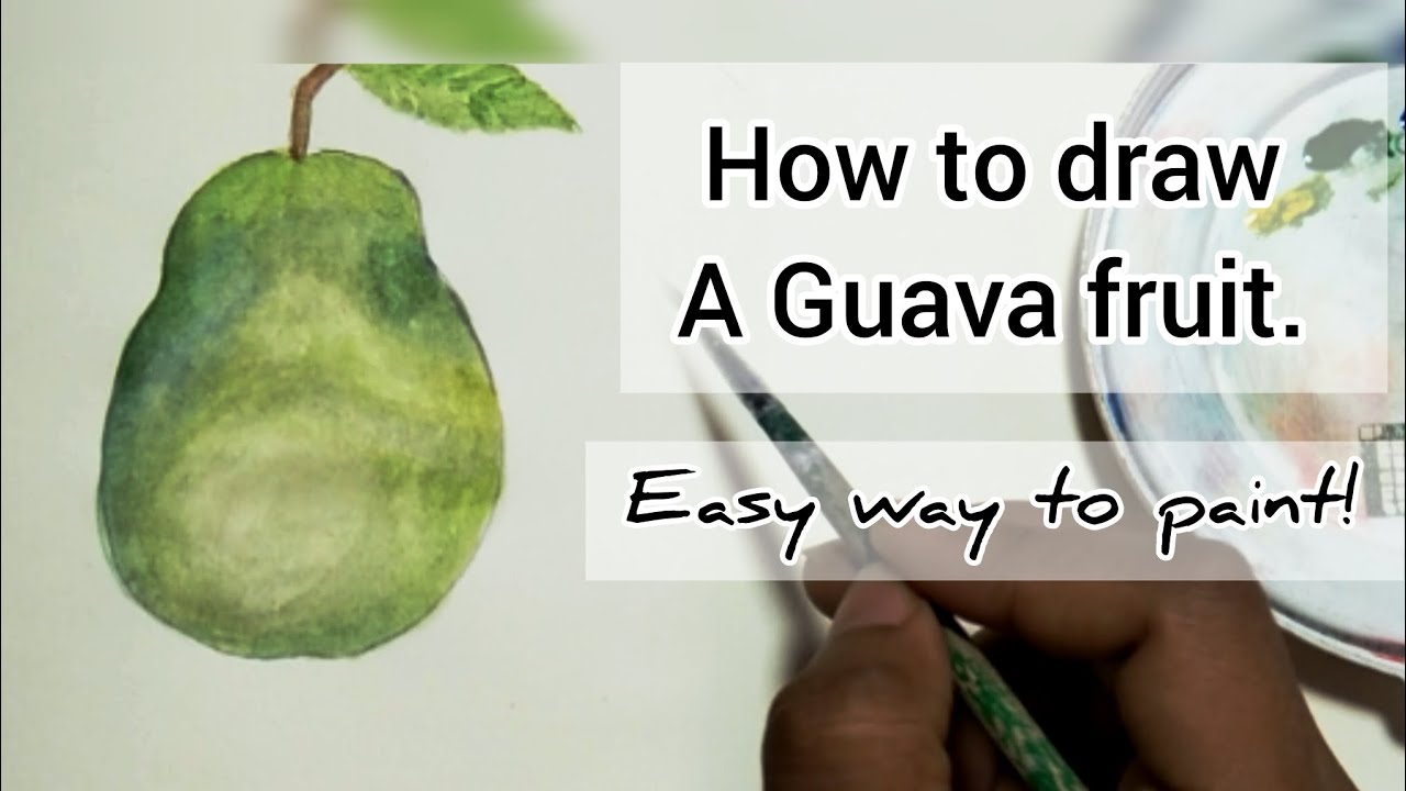 How to Drawing and Painting Guava fruit / Easy way to Paint a Guava ...