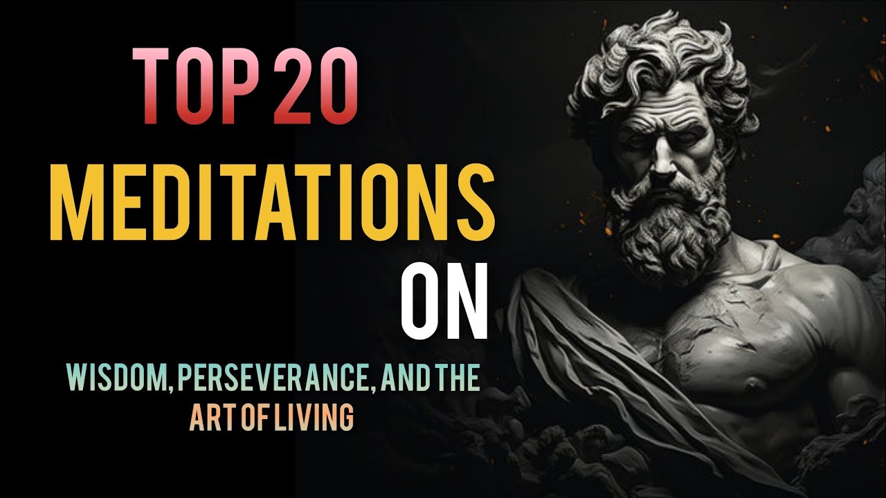 20 Meditations from The Daily Stoic: 366 Meditations on Wisdom ...