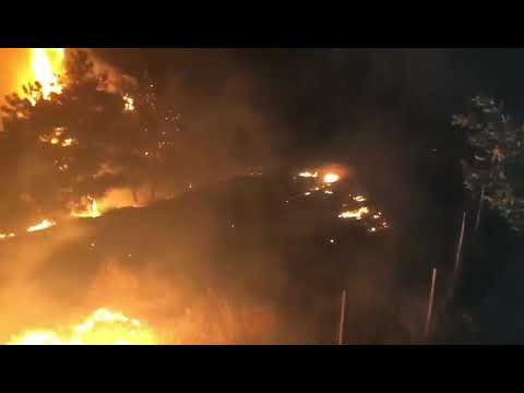 SON DEQİQE❗TOVUZDA MEŞELİK ERAZİYE İLDIRIM DÜŞMESİ NETİCESİNDE YANĞIN BAŞLAYIB