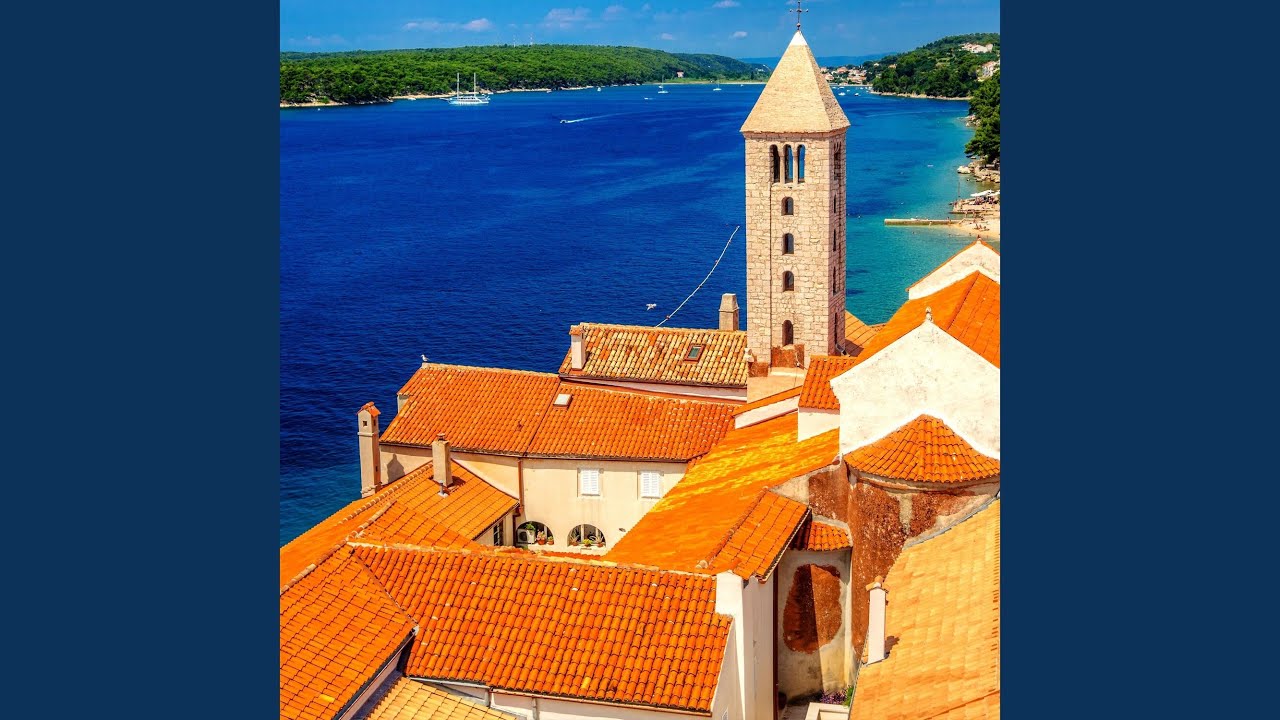 The Swift Turtle - YouTube