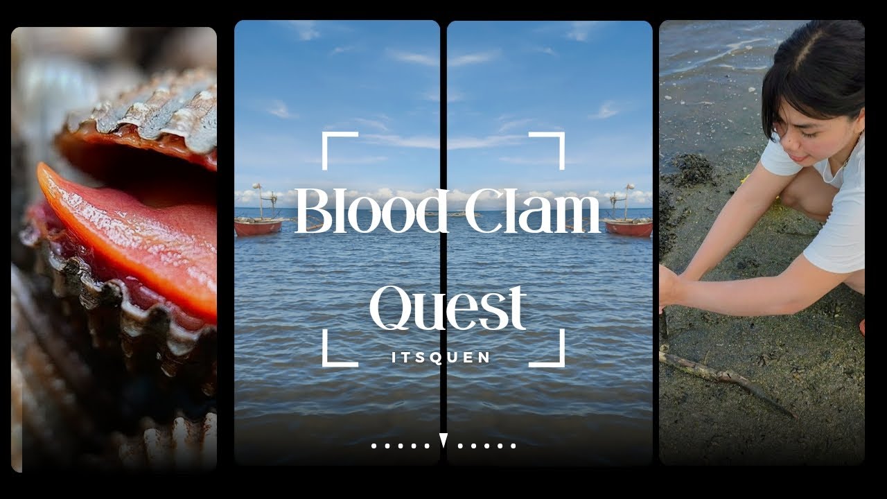 Collecting Blood Clam |Nanginhas ug litob|Putuhan|Sea|Bohol|itsquen ...