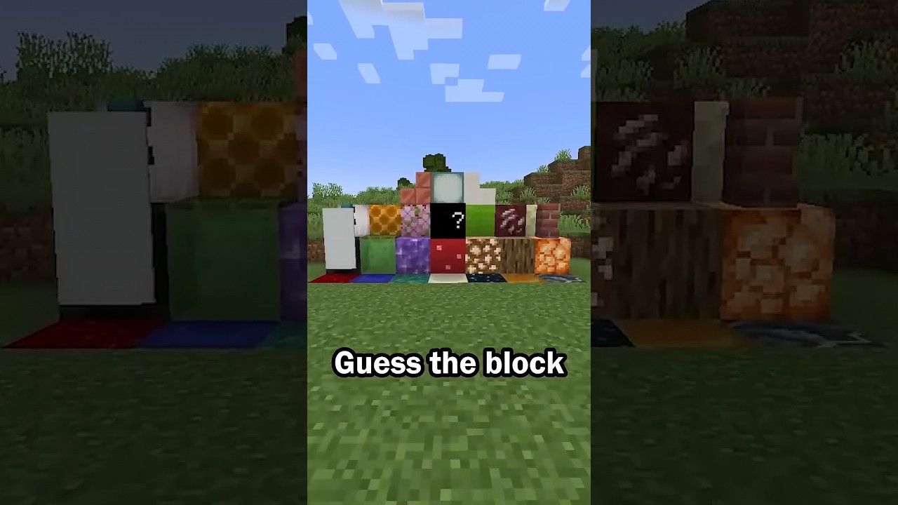 Guess The Blocks in 60 Sec #minecraft #shorts - YouTube