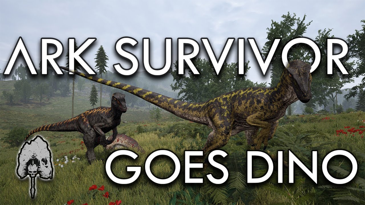 RAPTOR PACK RAPTOR PACK - YouTube