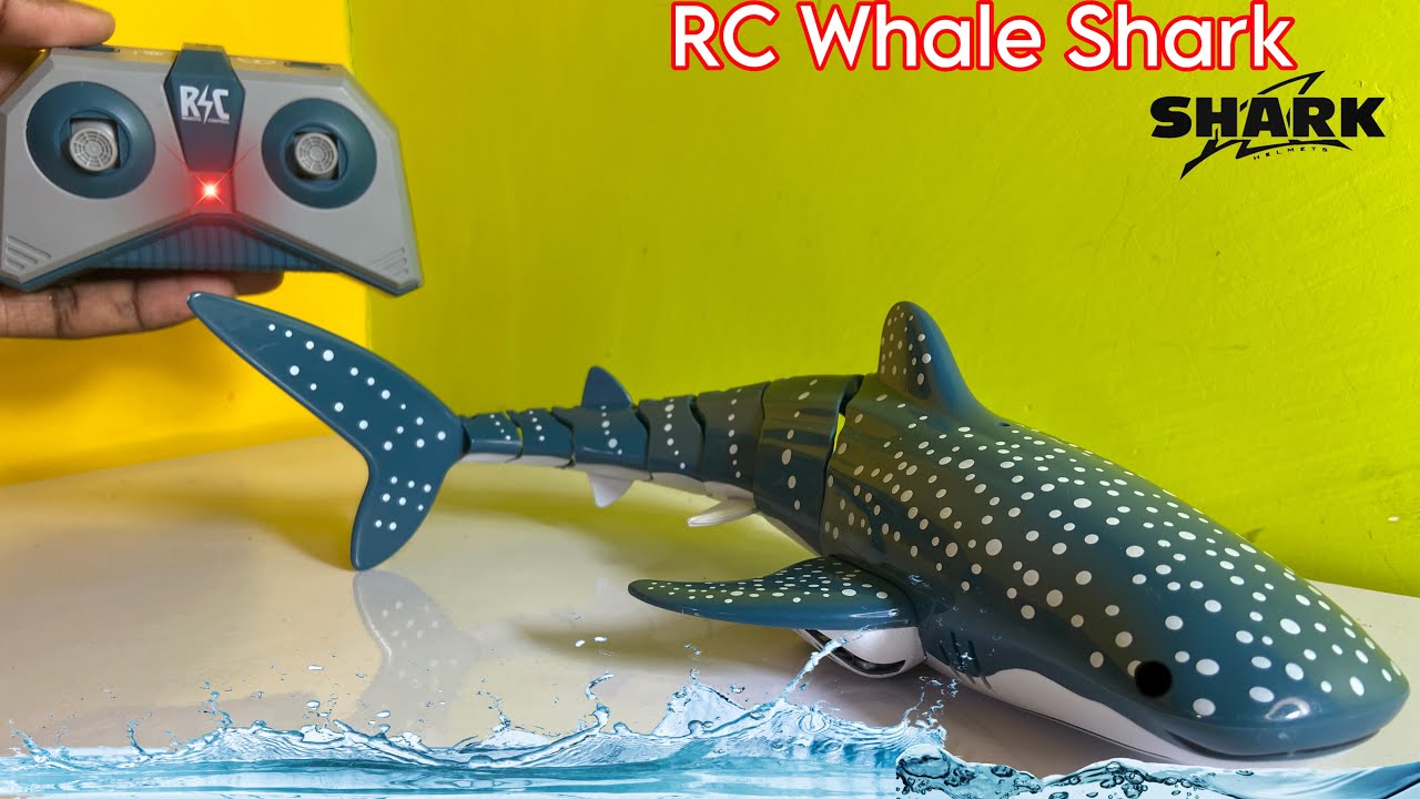 RC Big Blue Whale Shark Unboxing & Testing - The tricky mine #rcvsrc # ...