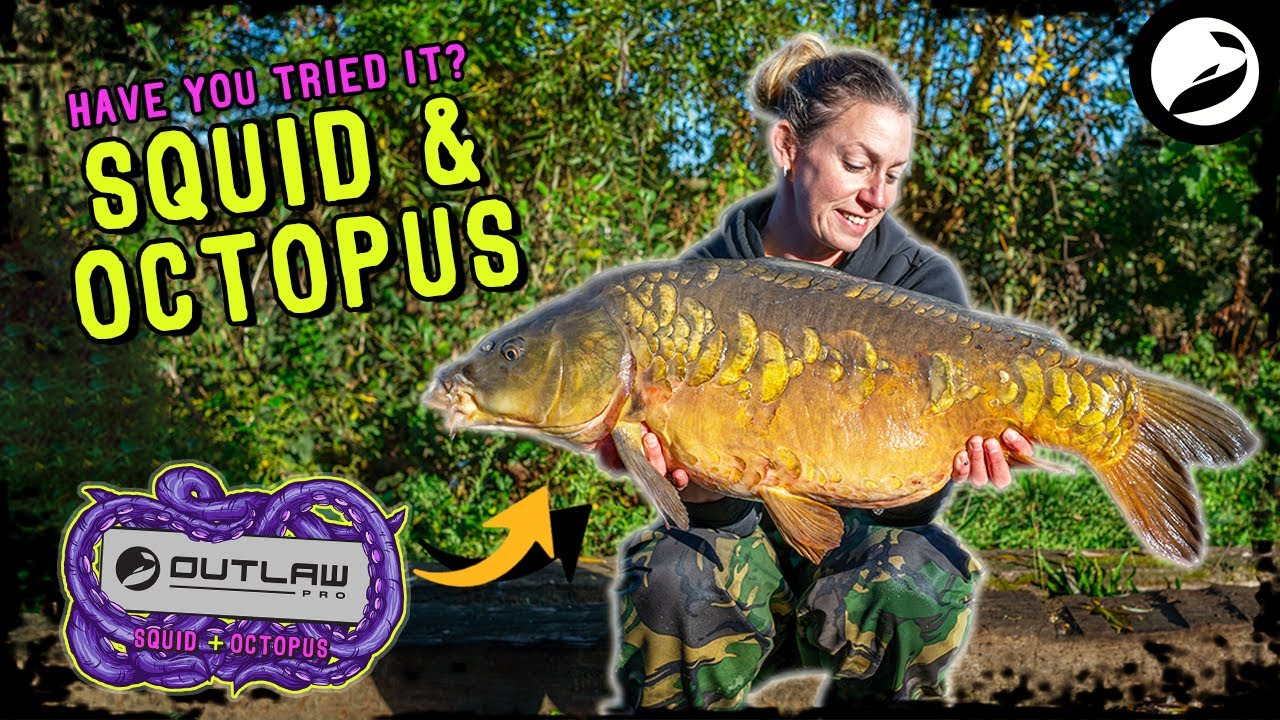 🎣 Catching Big Carp with the Outlaw Pro Squid & Octopus... Have You ...