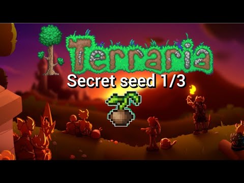 terraria new secret seed 1/3 - YouTube