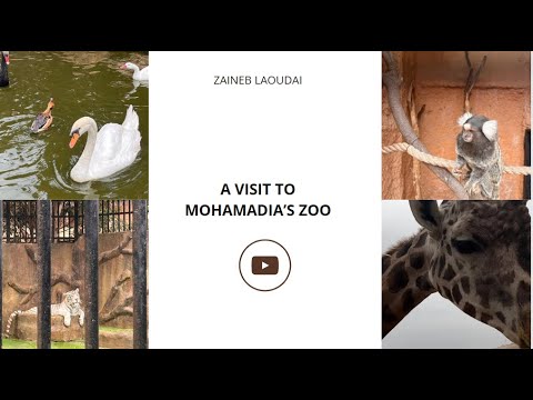 A VISIT TO MOHAMADIA'S ZOO 🦁🦩 - YouTube