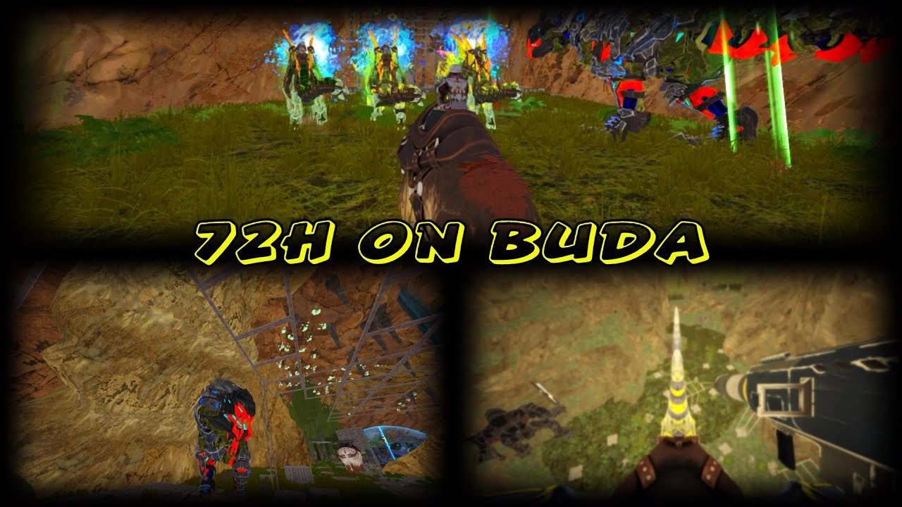 | ARK | My 72H On #Buda | #knights #viking #dedi #matrix #ruin #lords ...
