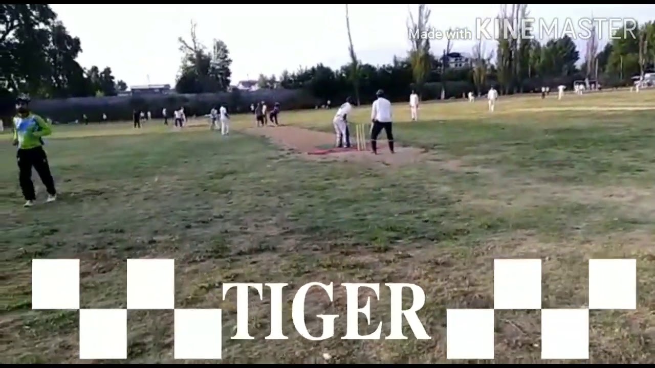 Zahid Tiger swipe shot - YouTube
