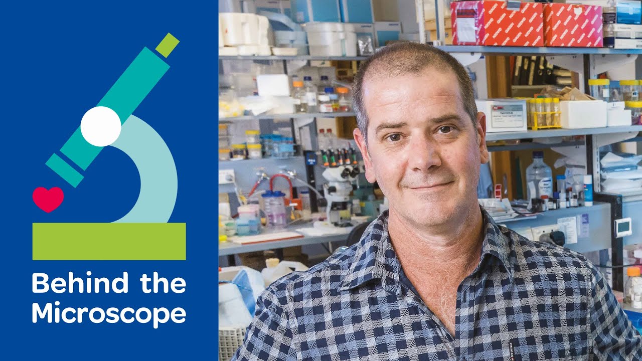 Dr Jason Powell: Behind the Microscope: Research in Review: December ...