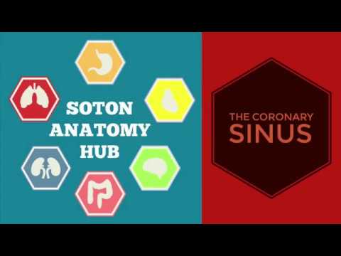 The Coronary Sinus - YouTube