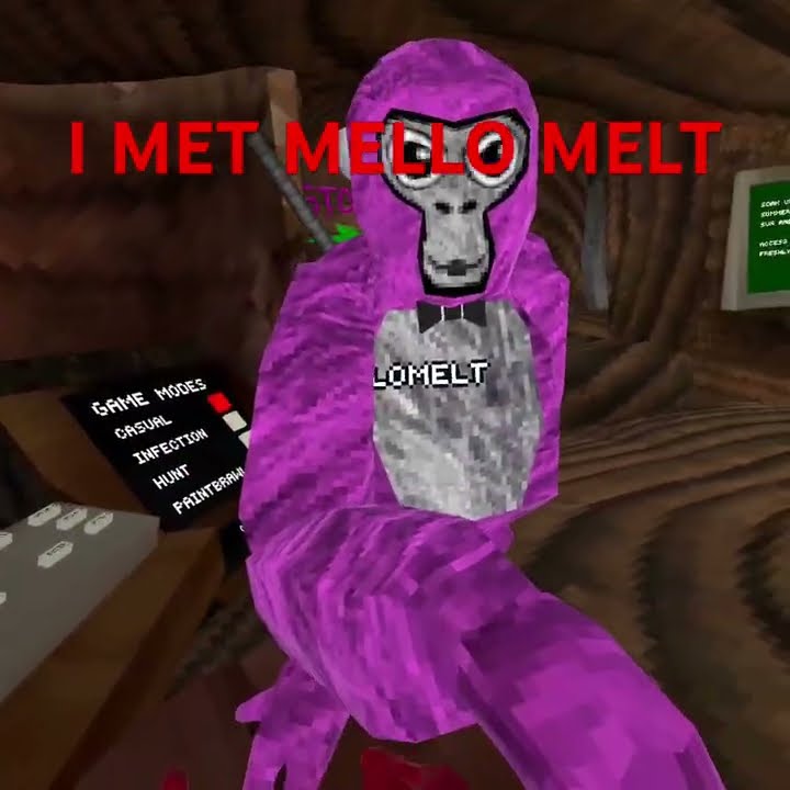 I MET THE REAL MELLO MELT @MellomeltLOL #gtag #videogamemusic #zelda # ...