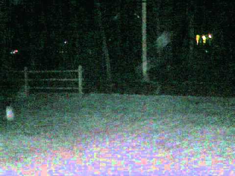 Kid Caught Breaking Windows - YouTube