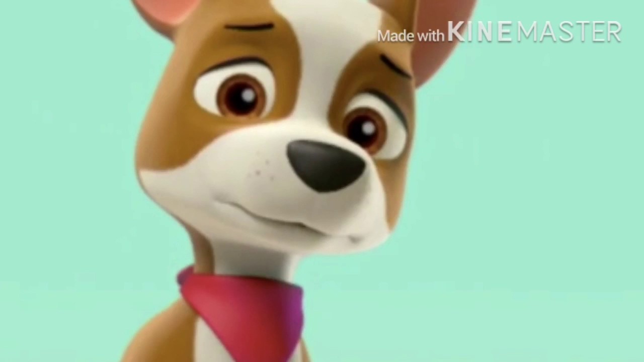 Paw patrol tracker - YouTube