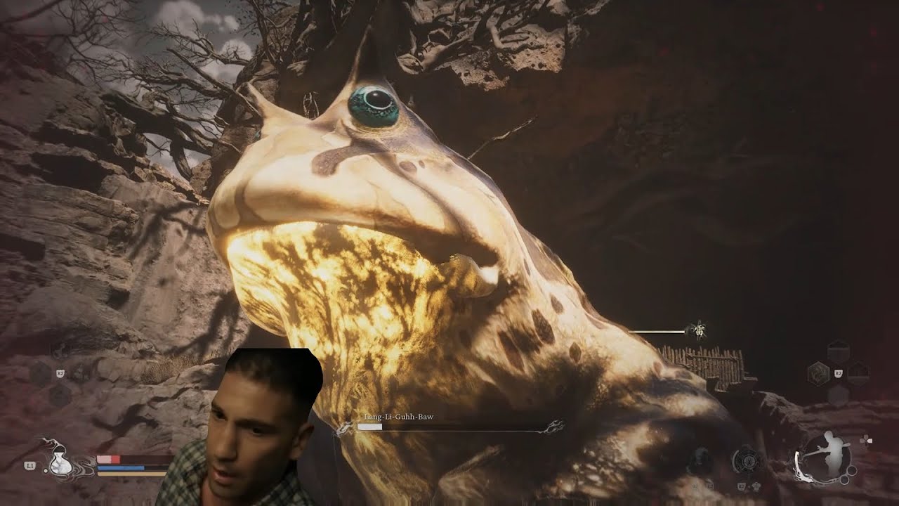 Frog Boss Fight is Familiar - YouTube