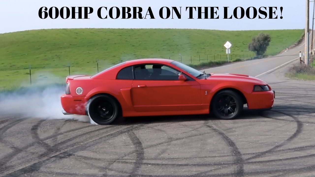 600HP SVT COBRA TERMINATOR COMPILATION! - YouTube