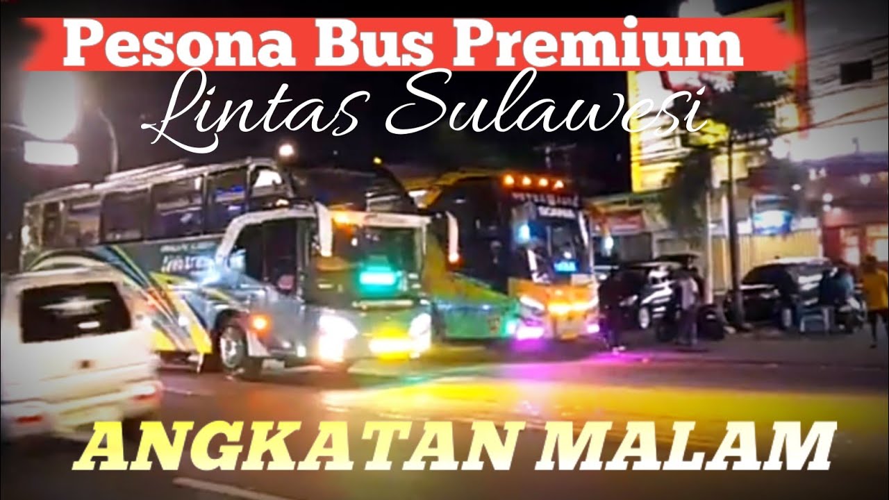 Bus Malam Sulawesi: Rute Lengkap Menuju Semua Destinasi - YouTube